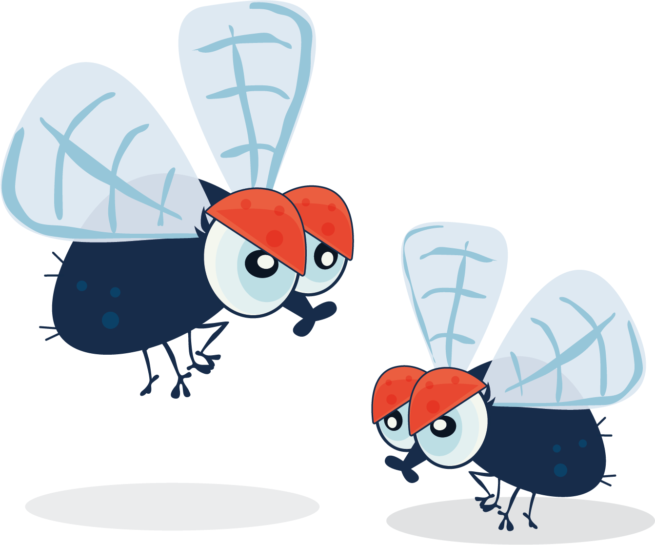 Moucherons - Comment Se Débarrasser Des Moucherons